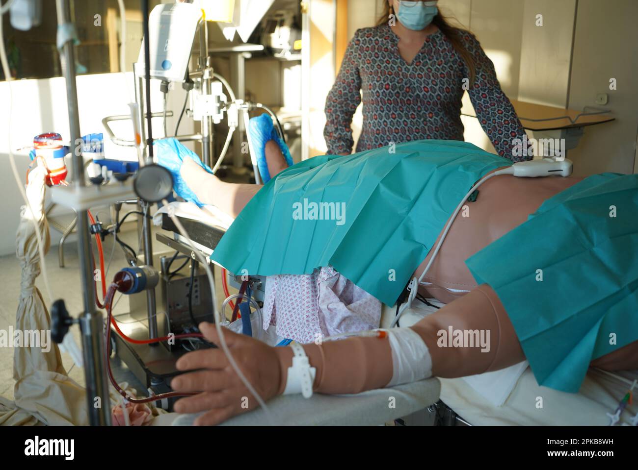 Training of medical interns in the ECMO technique, Extracorporeal ...