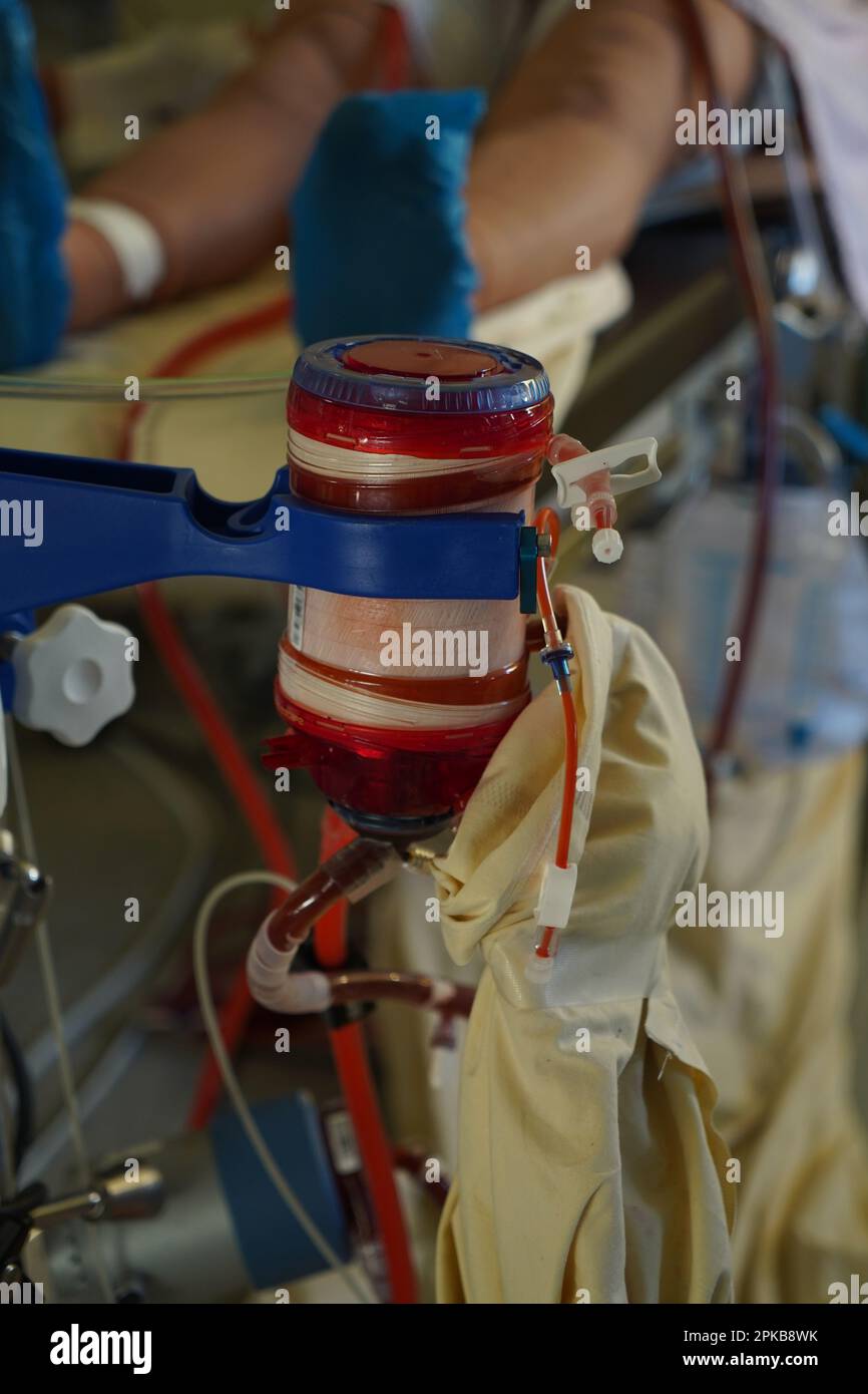 Training of medical interns in the ECMO technique, Extracorporeal ...