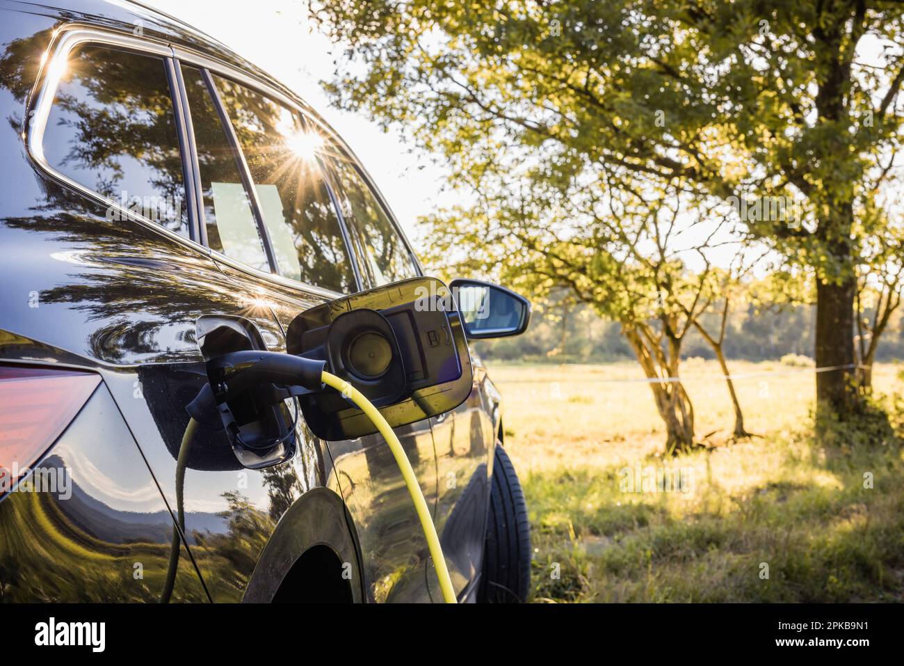 Power cable connected with a charger plugged into a black electric car ...
