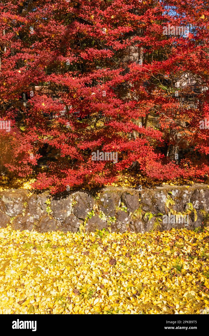 Japan, Honshu, Nagano Prefecture, Karuizawa, Mampei Historic Hotel ...