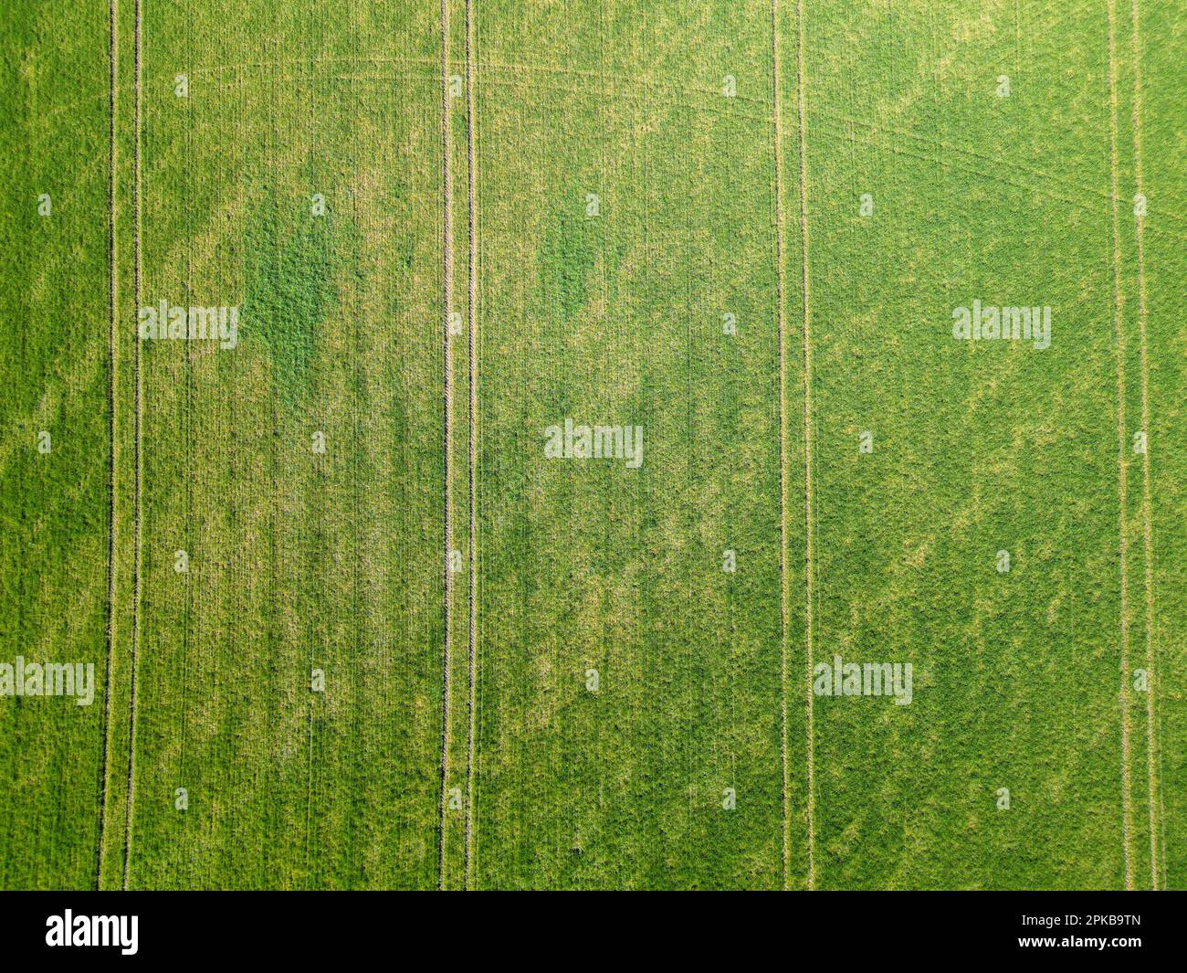 Coventry landscape field hi-res stock photography and images - Alamy