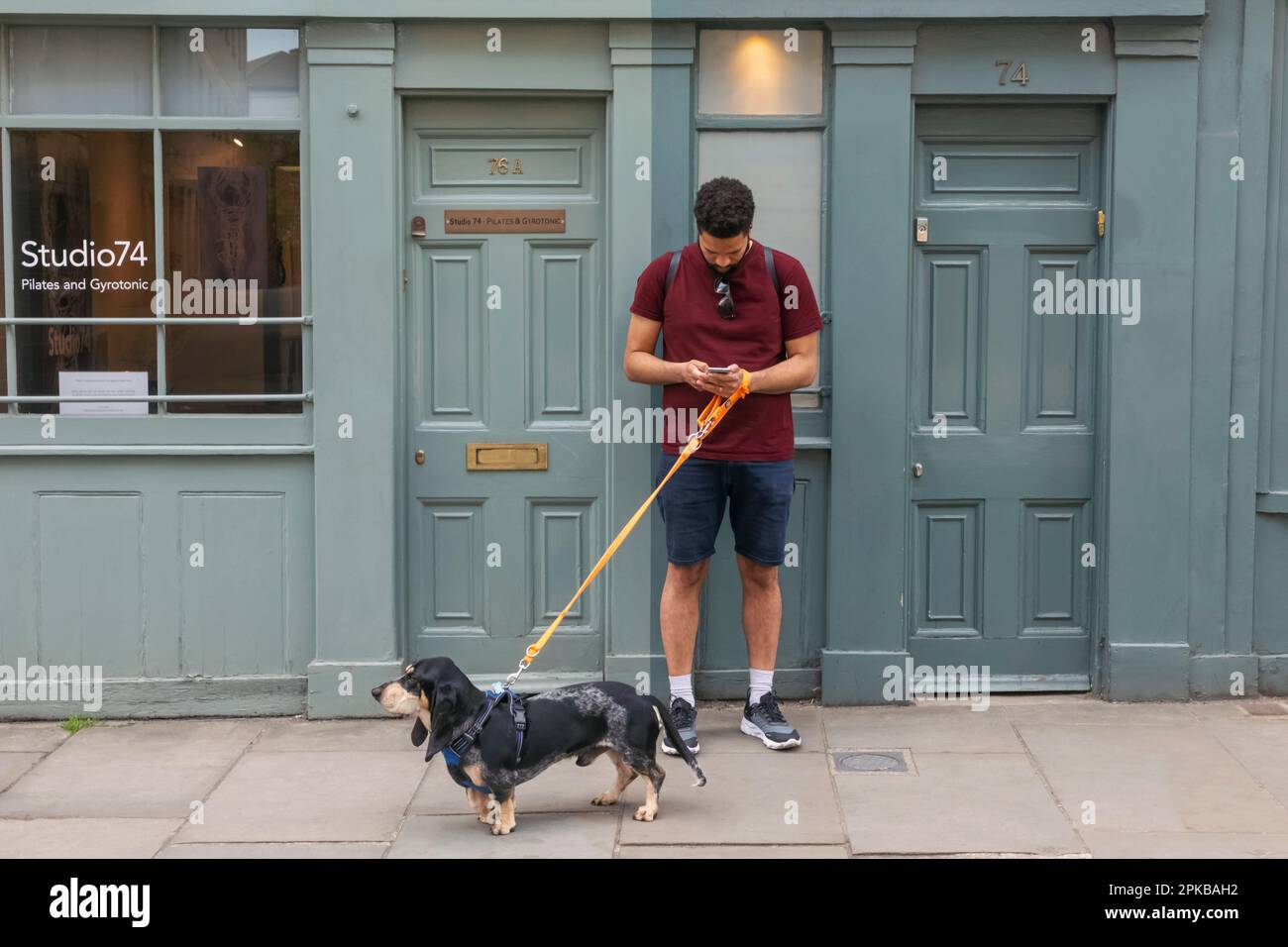 Man texting with dog on lead hi-res stock photography and images - Alamy
