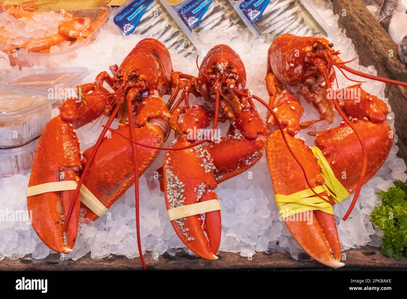 Lobster display hi-res stock photography and images - Alamy