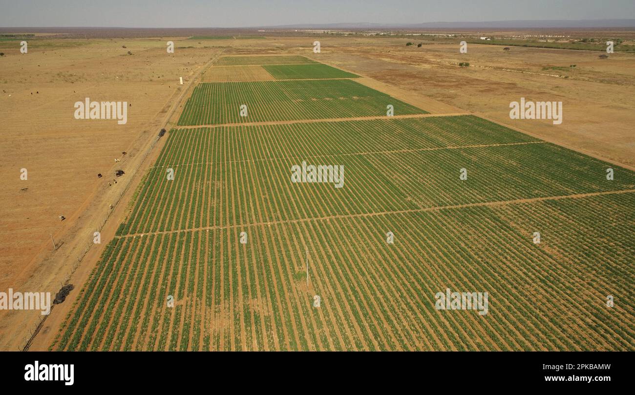 Agriculture farming desert hi-res stock photography and images - Alamy