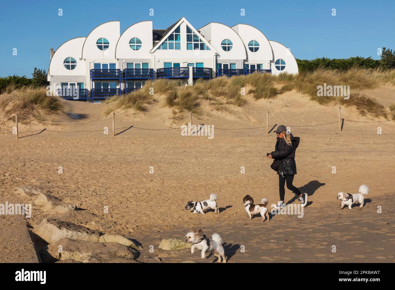 England, Dorset, Poole, Sandbanks Beach, Woman Walking Dogs in Front of ...