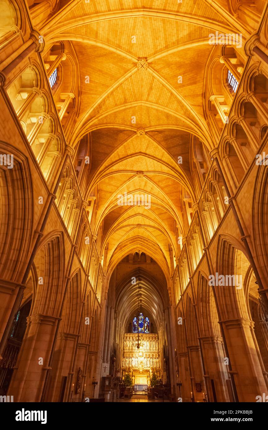 Interior view of southwark cathedral with vaulted ceiling hi-res stock ...