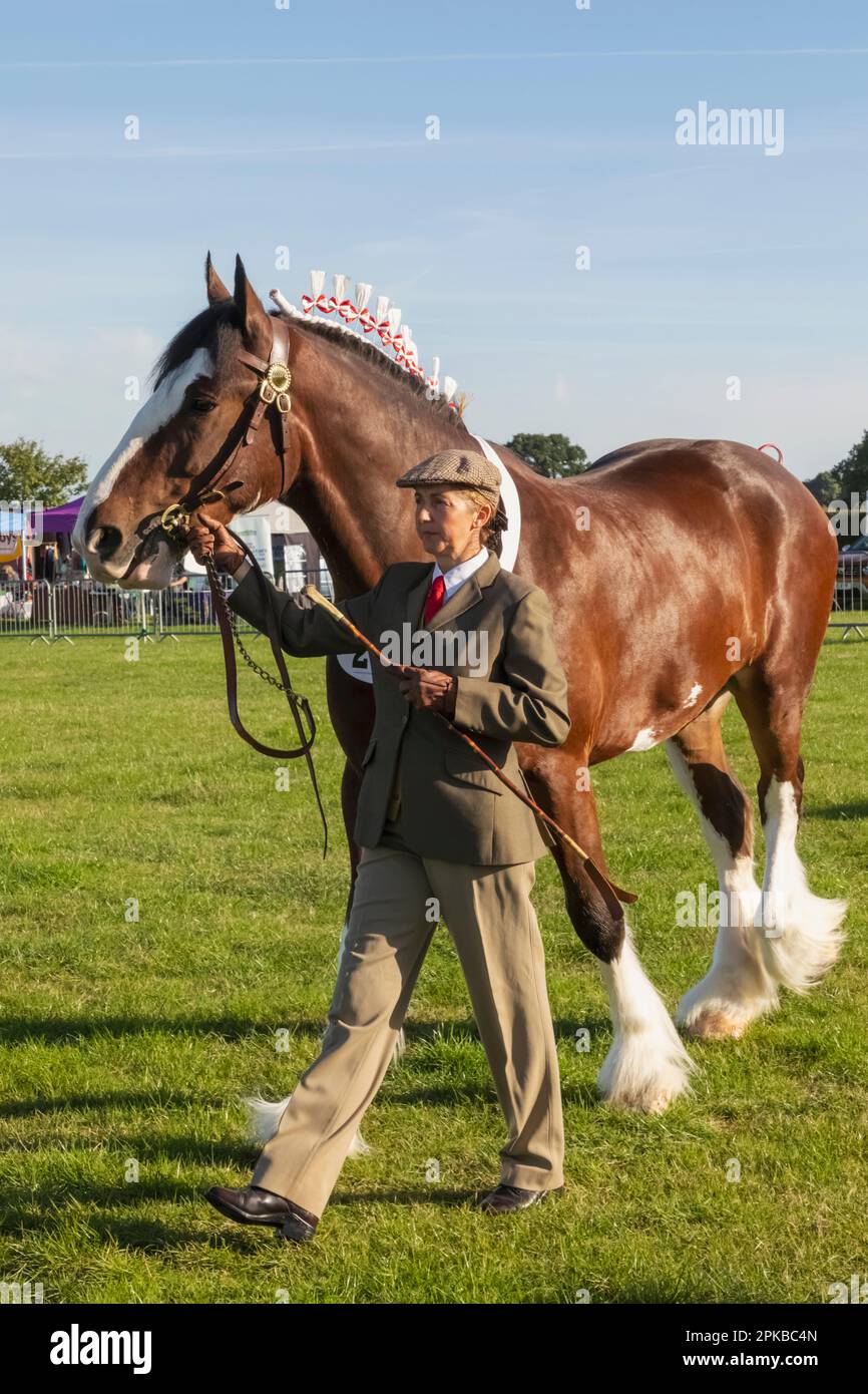 England, Dorset, Shaftesbury, The Annual Wessex Heavy Horse Show and ...