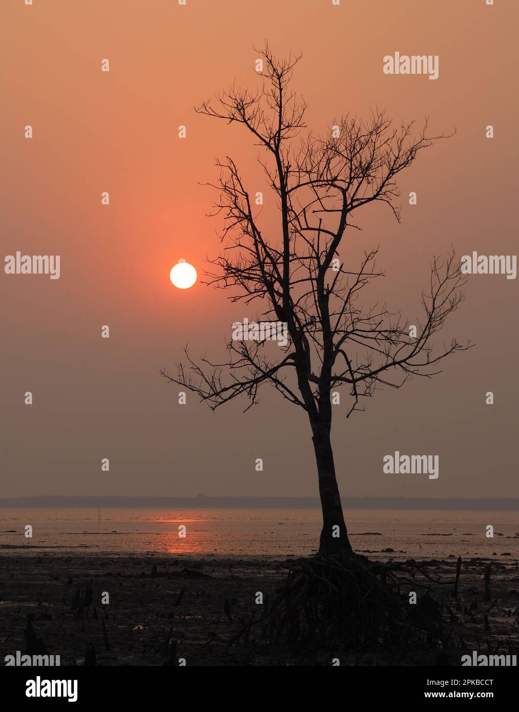 Sunset at Kotka sea beach.this photo was taken from Sundarbans National ...