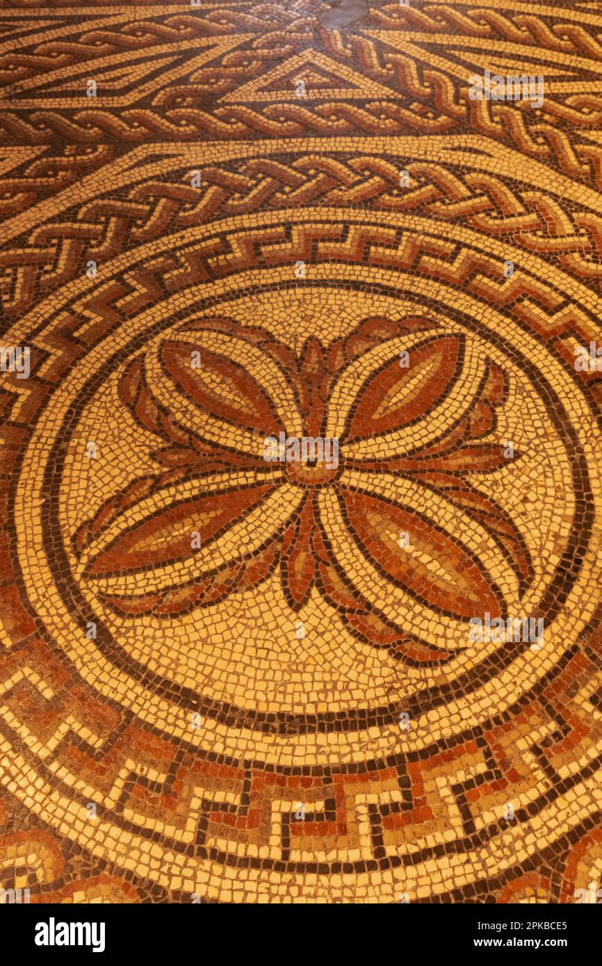 Interior of victorian hall mosaics hi-res stock photography and images ...