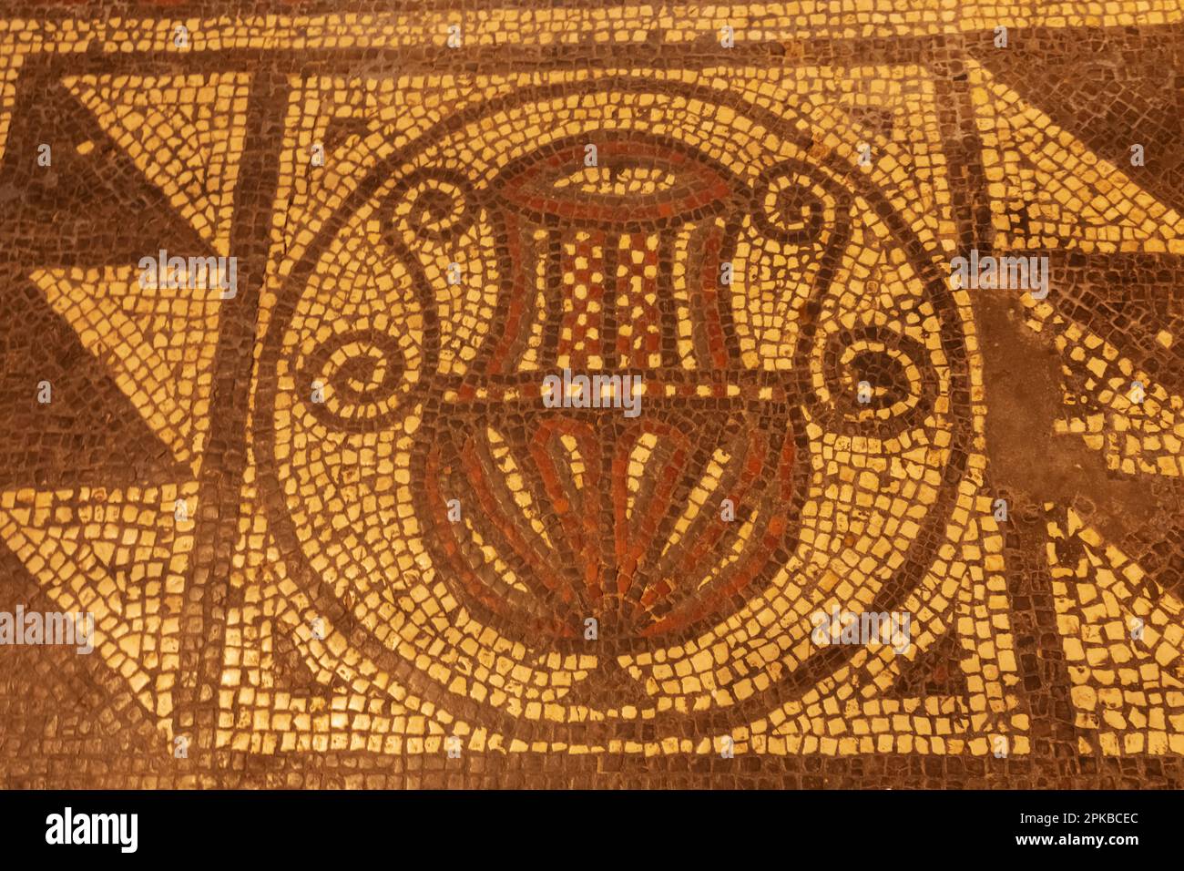 England, Dorset, Dorchester, Dorset Museum, Interior of Victorian Hall ...
