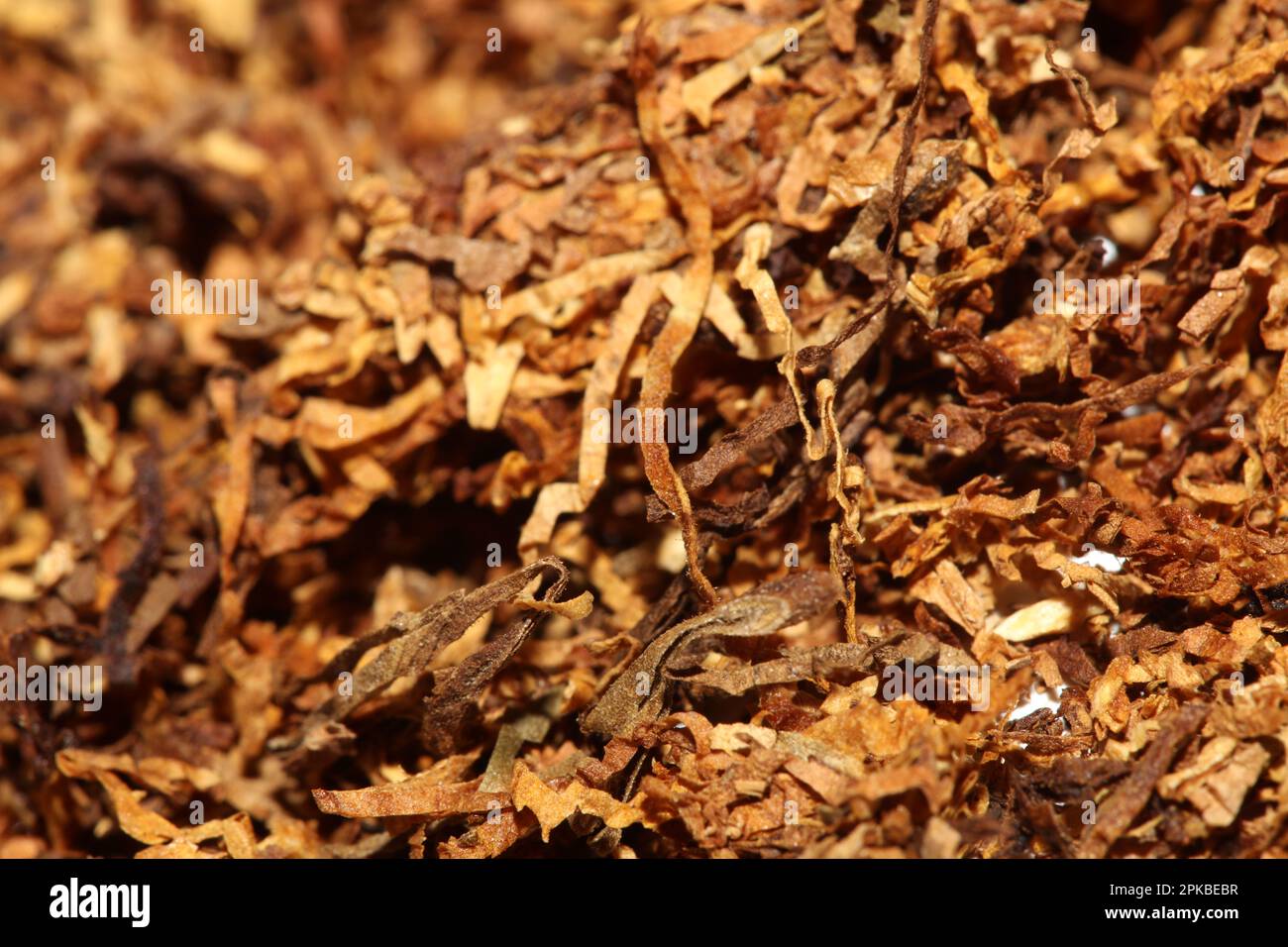 Rolling dried tobacco leafs close up background big size high quality ...