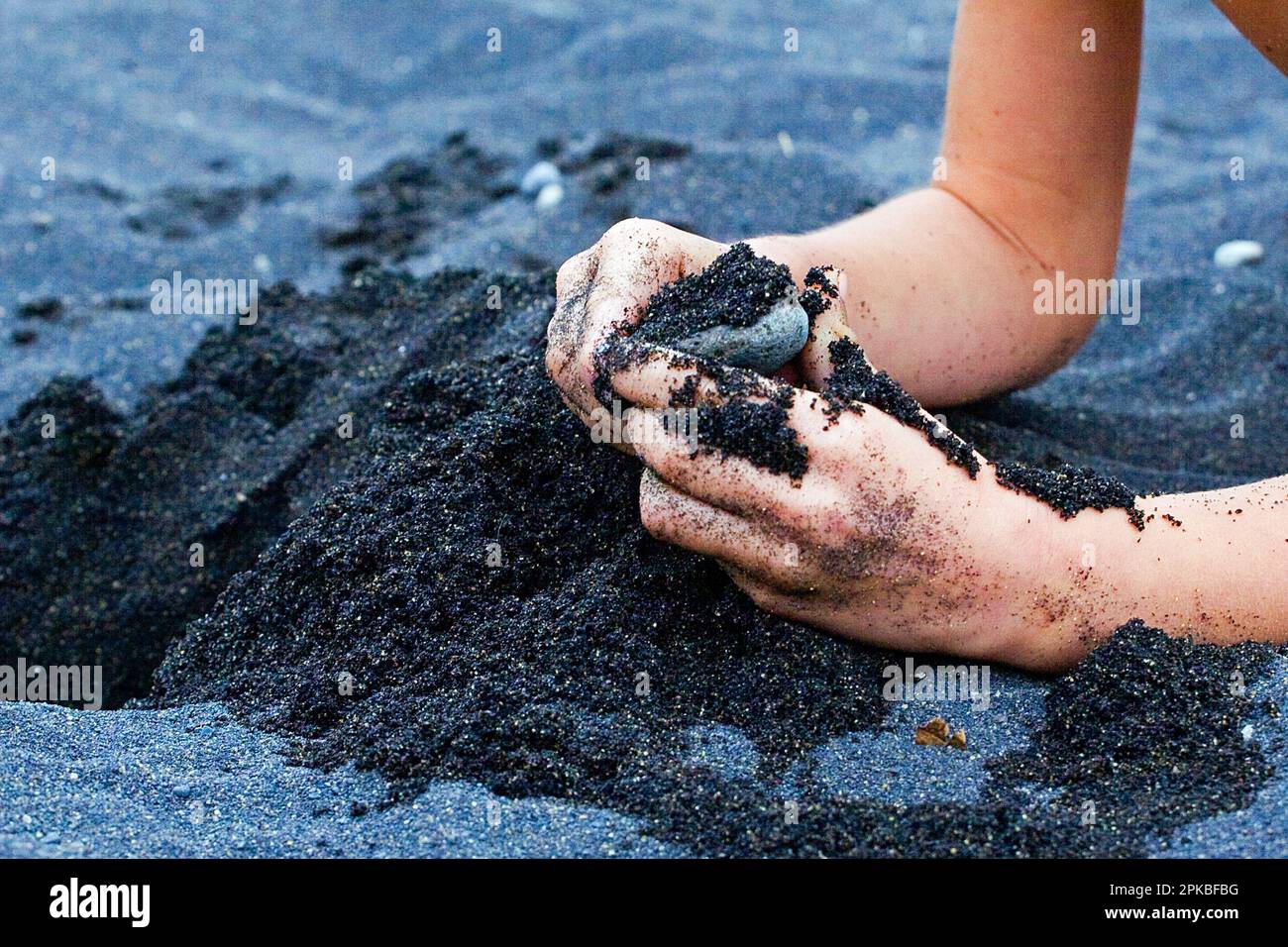 digging stones in black sand on the beach Stock Photo - Alamy