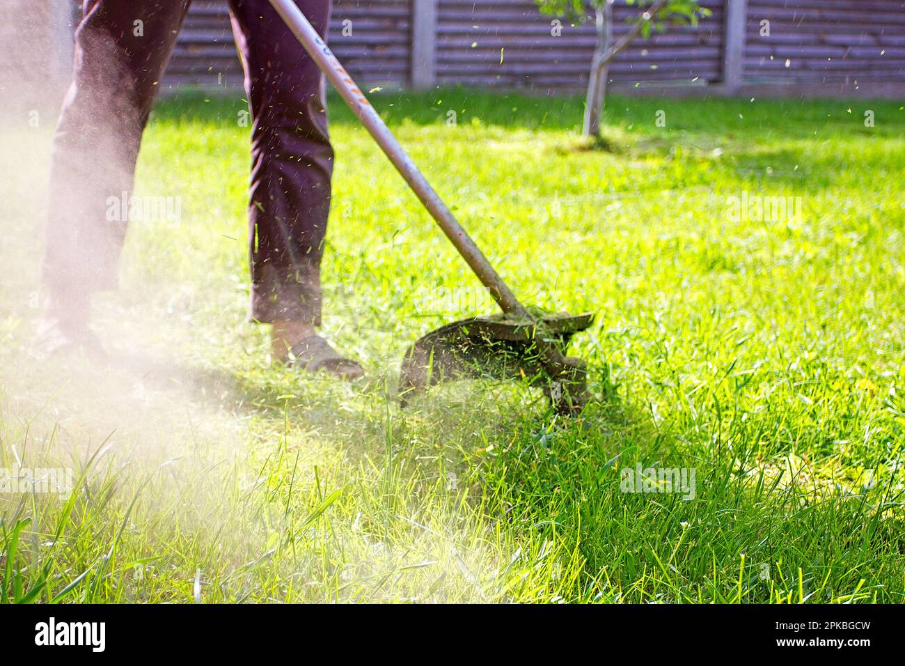 trimmer mows grown grass on the lawn forming a circle Stock Photo - Alamy