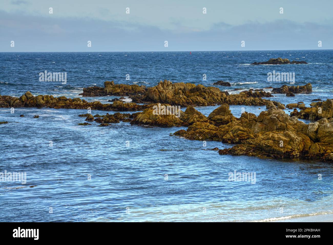 Rock breakers Asilomar State Marine Reserve California Stock Photo - Alamy