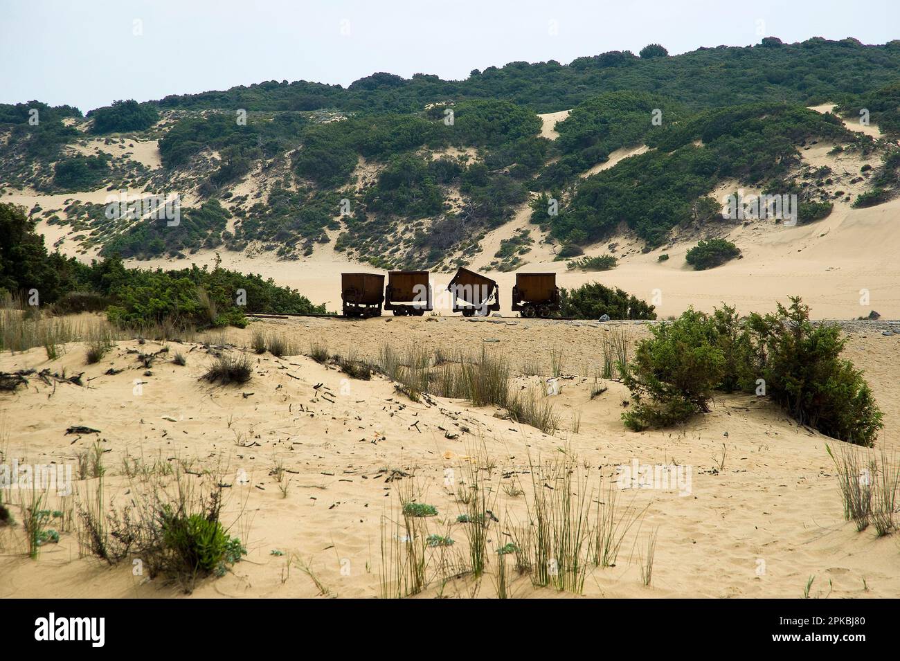 Medio campidano italy hi-res stock photography and images - Alamy