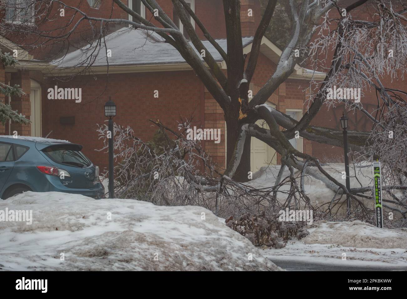 Ottawa, Ontario, Canada - April 6, 2023: Branches weighed down from ice ...