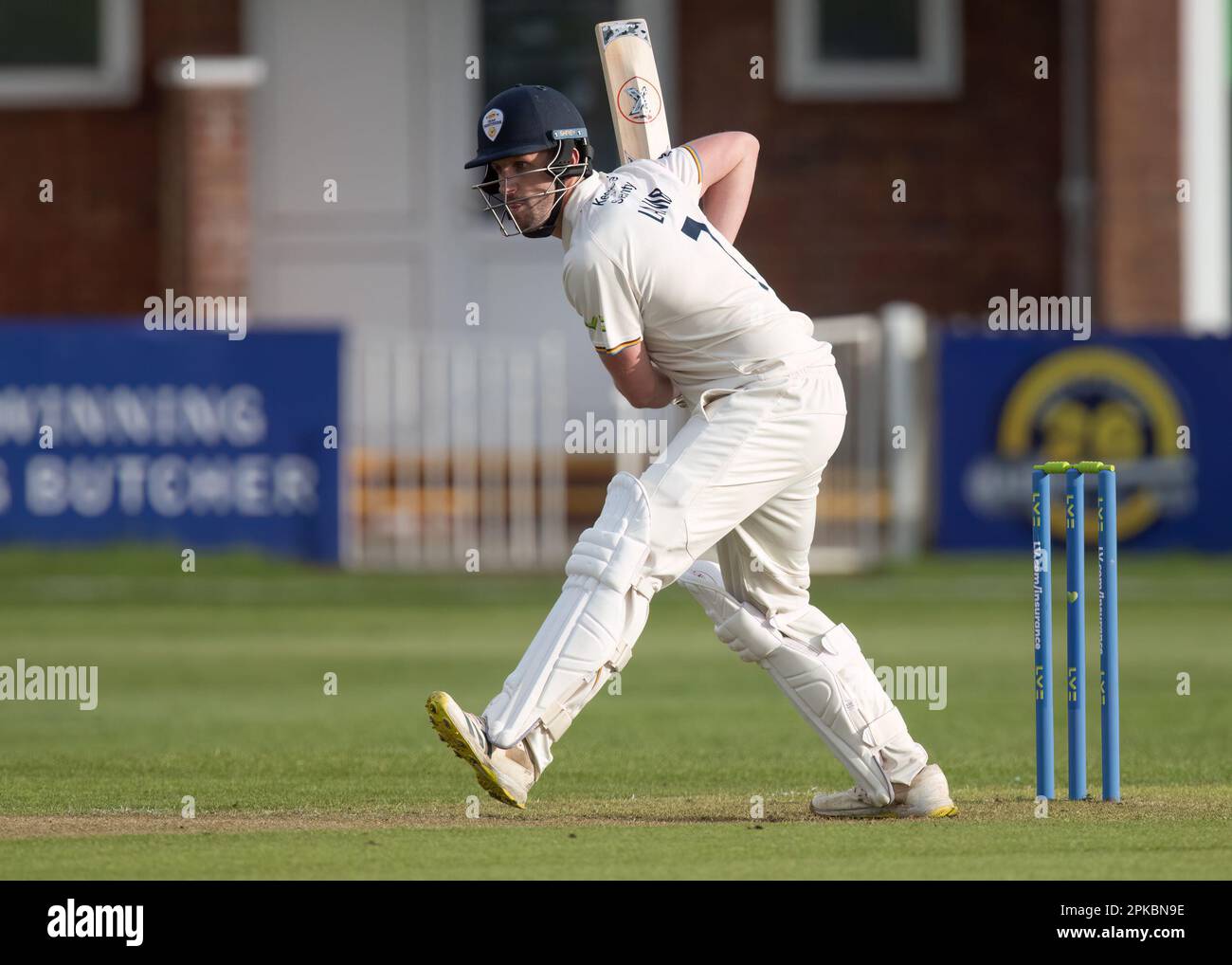 Matt lamb derbyshire ccc hi-res stock photography and images - Alamy