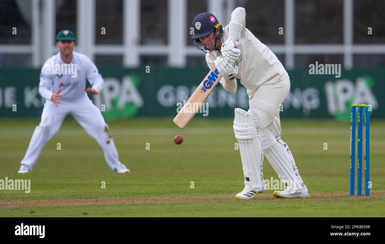 Matt lamb derbyshire ccc hi-res stock photography and images - Alamy