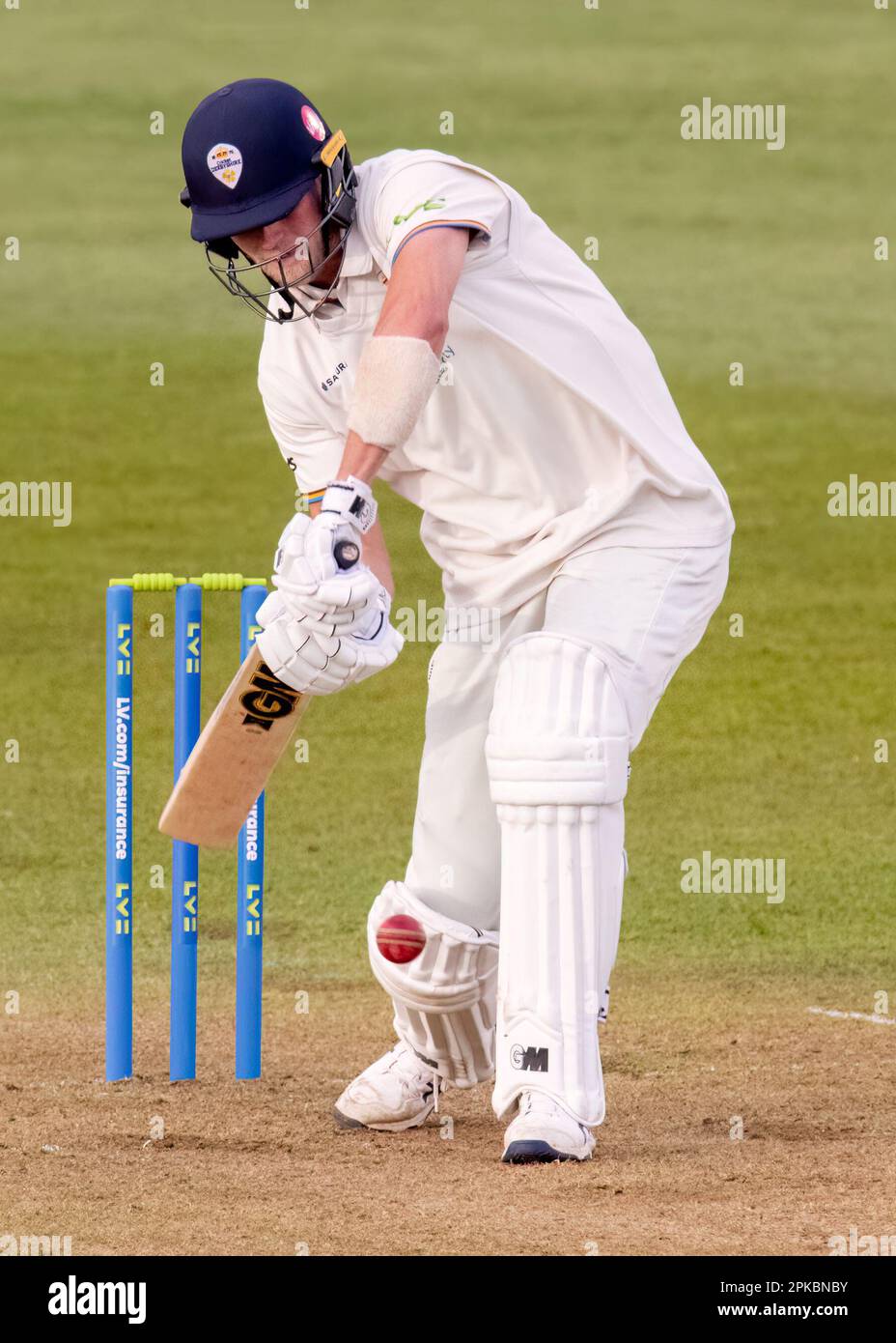 Matthew waite 2023 hi-res stock photography and images - Alamy