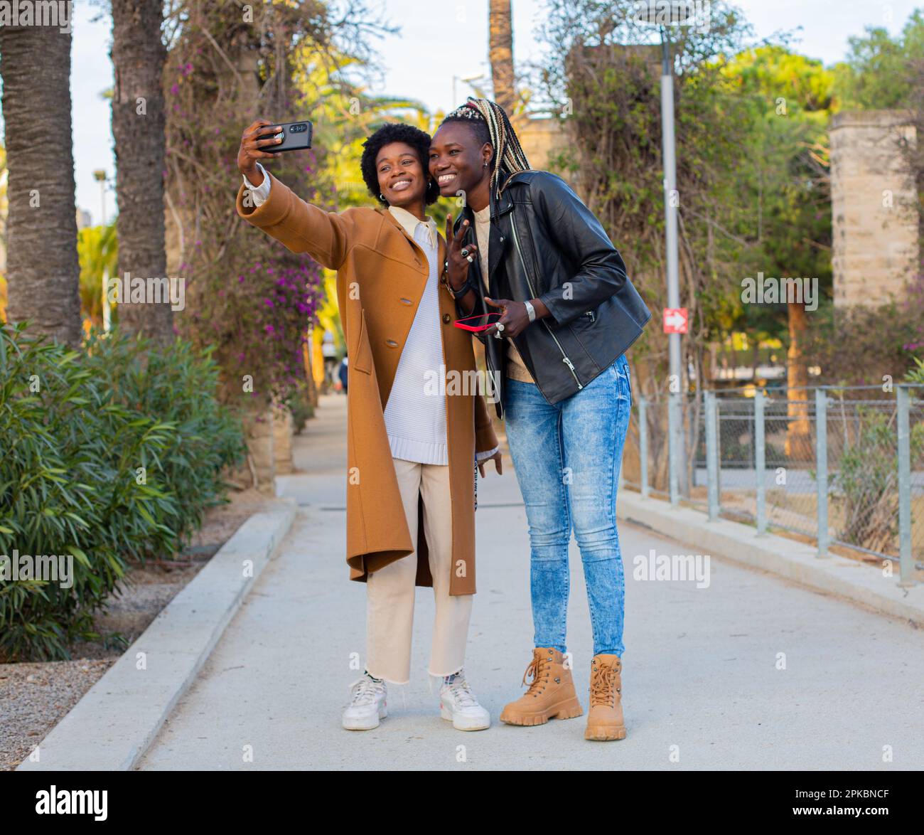 African tree of life hi-res stock photography and images - Alamy