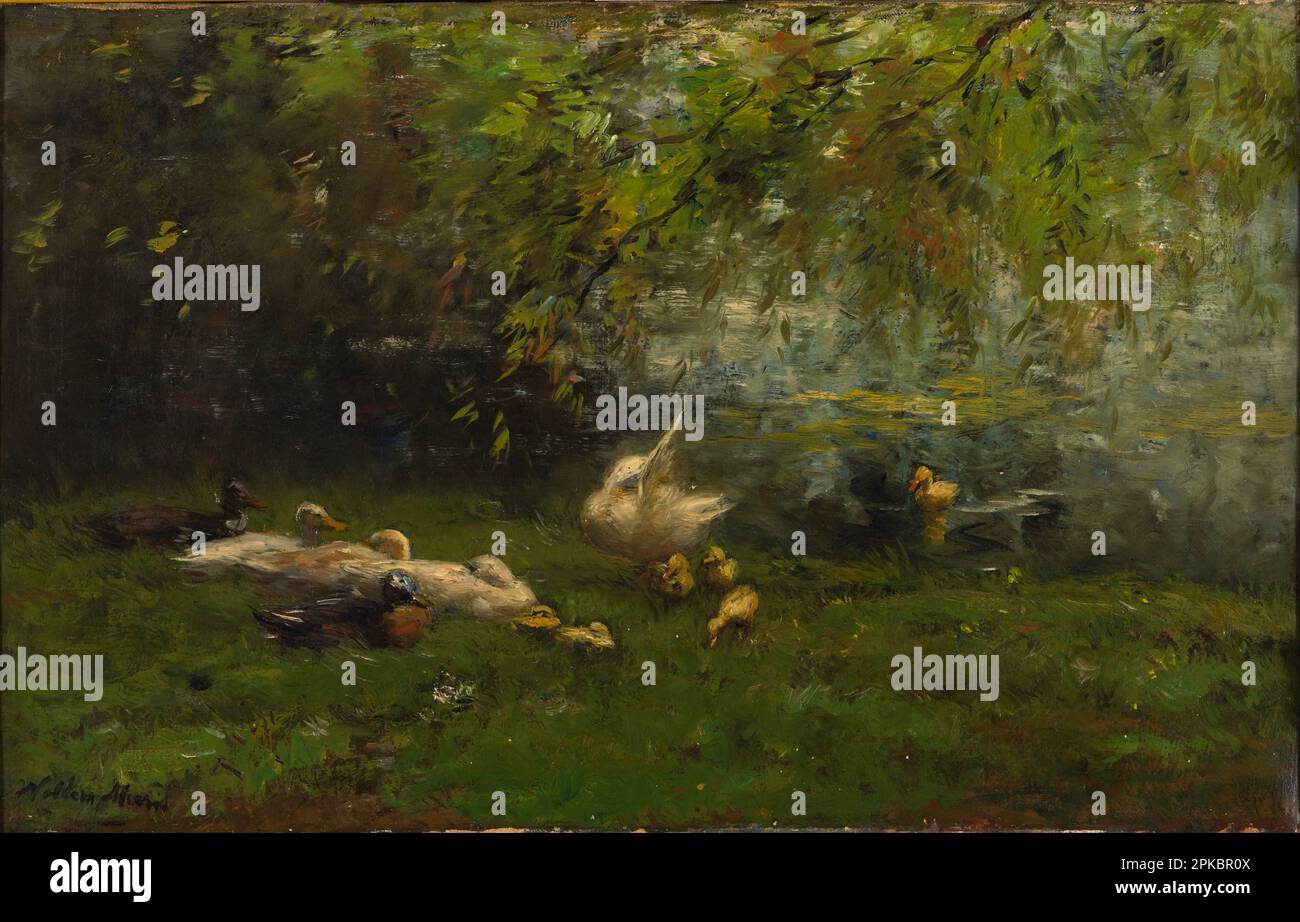 Duck heaven circa 1885 by Willem Maris Stock Photo - Alamy