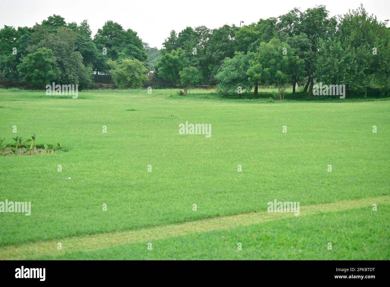 Green park view hi-res stock photography and images - Alamy