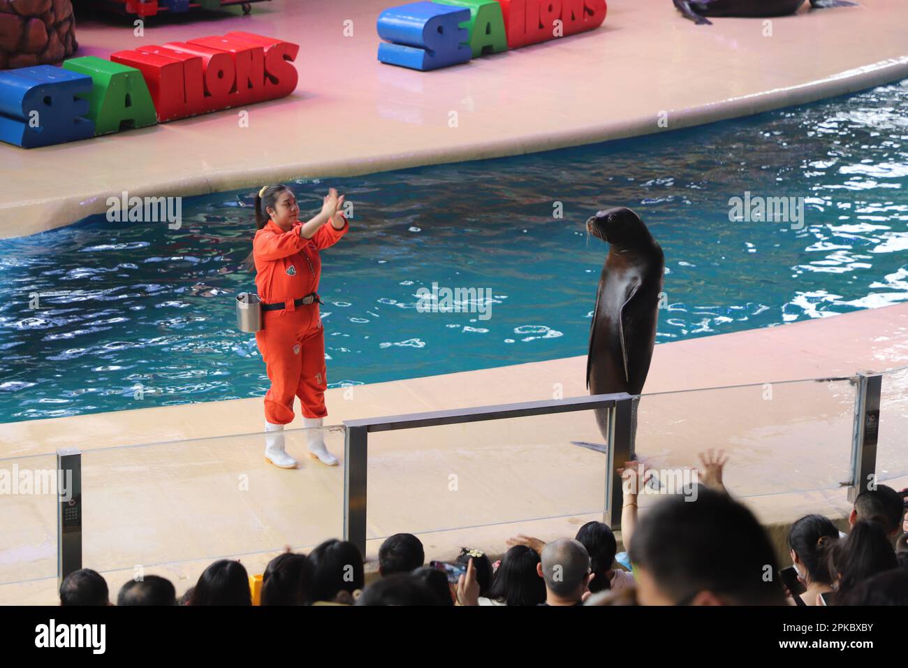 Chimelong marine hi-res stock photography and images - Alamy