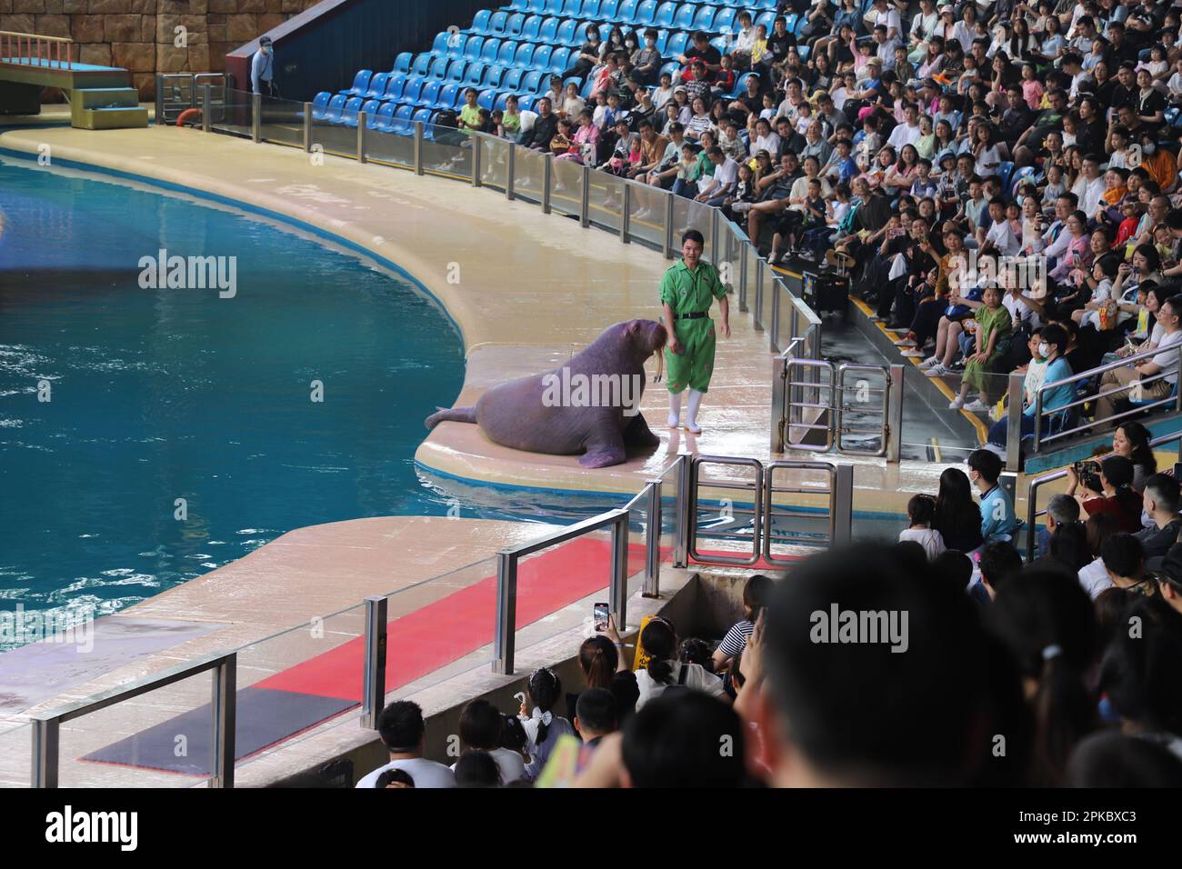 ZHUHAI, CHINA - APRIL 6, 2023 - Parents and children view rare Marine ...