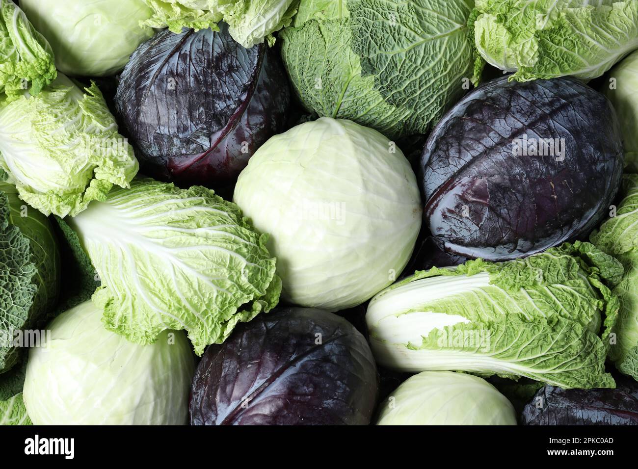 Different types of cabbage as background, top view Stock Photo - Alamy