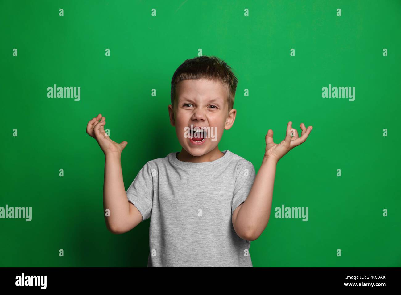 Angry little boy screaming on green background. Aggressive behavior ...