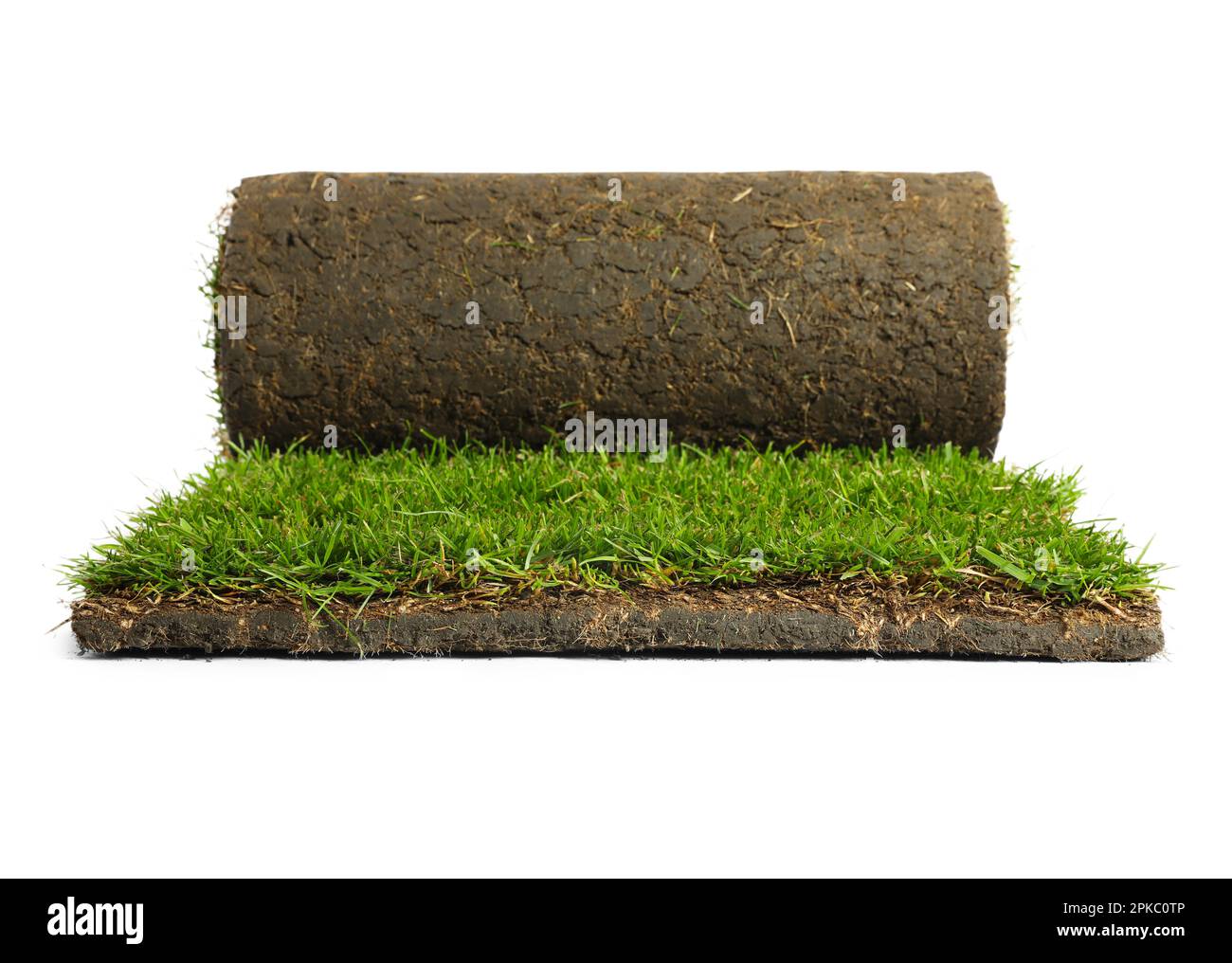 Real grass carpet Cut Out Stock Images & Pictures - Alamy