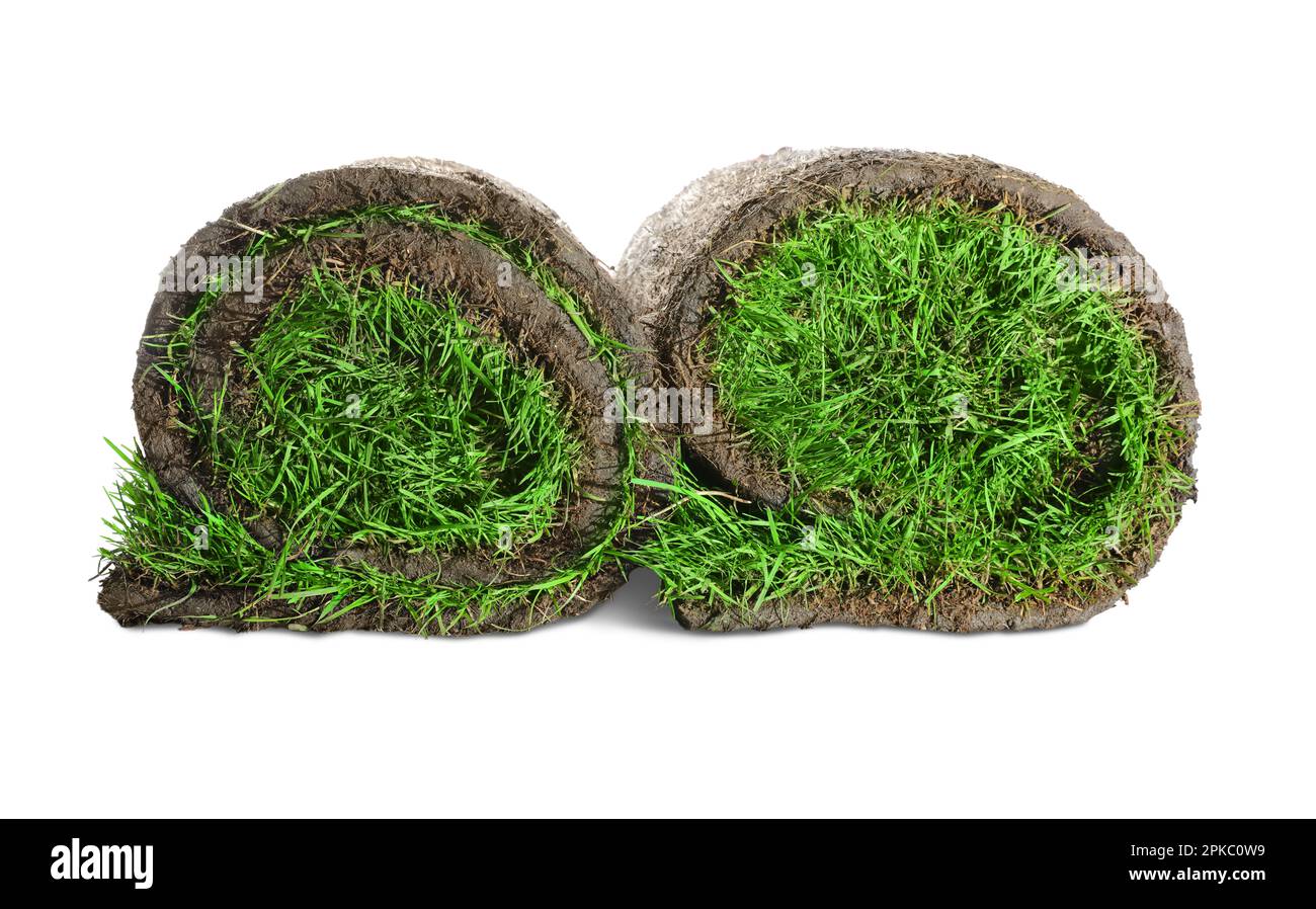 Turf rolls Cut Out Stock Images & Pictures - Alamy
