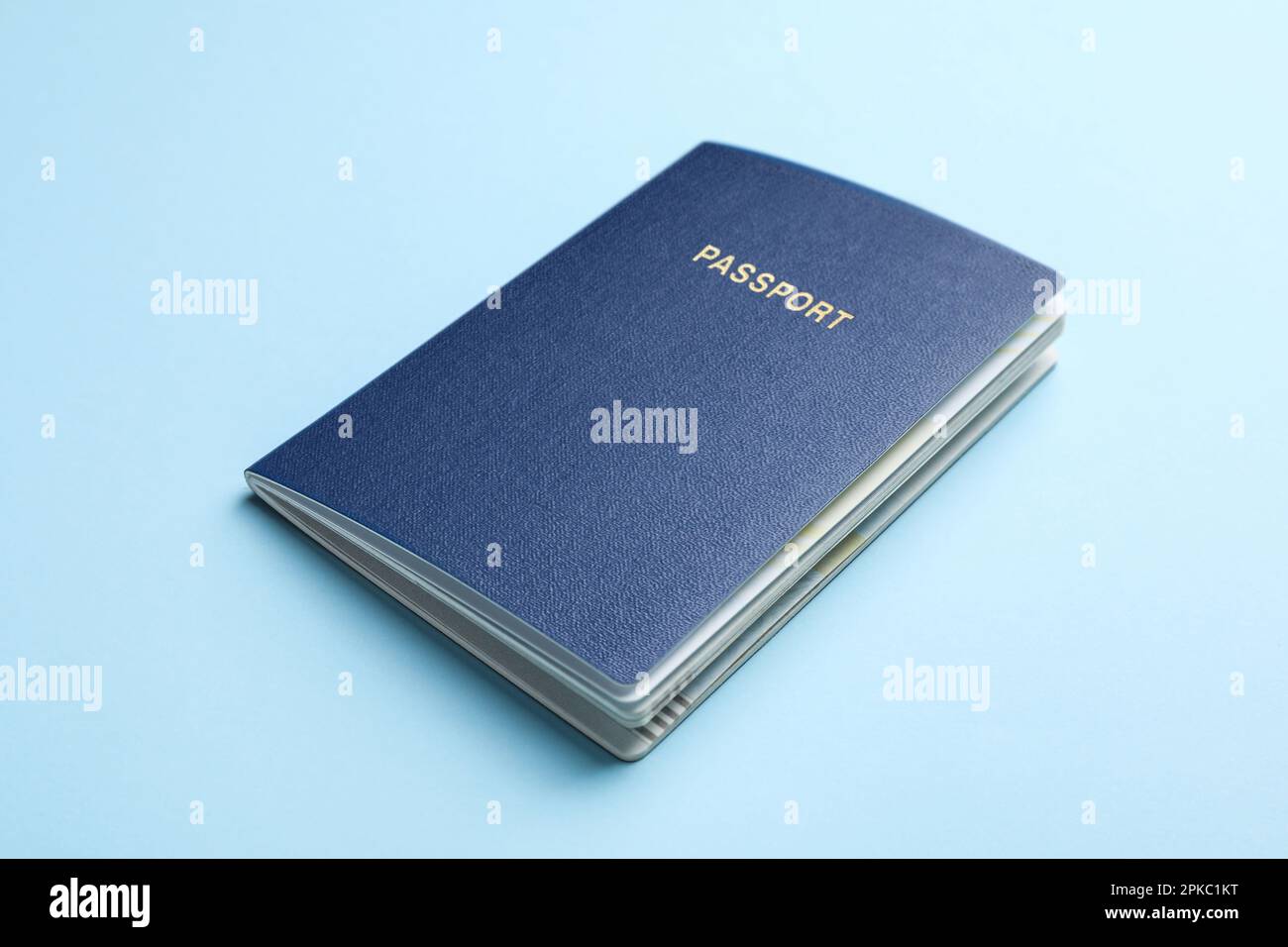 Passport Cover Texture