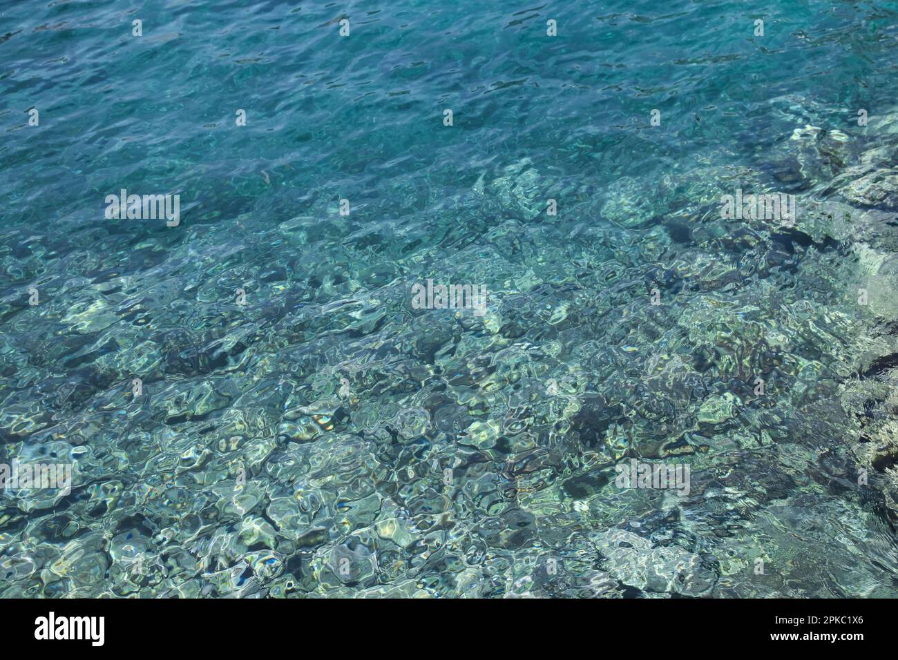 Shallow water with rocky sea bottom as background Stock Photo - Alamy