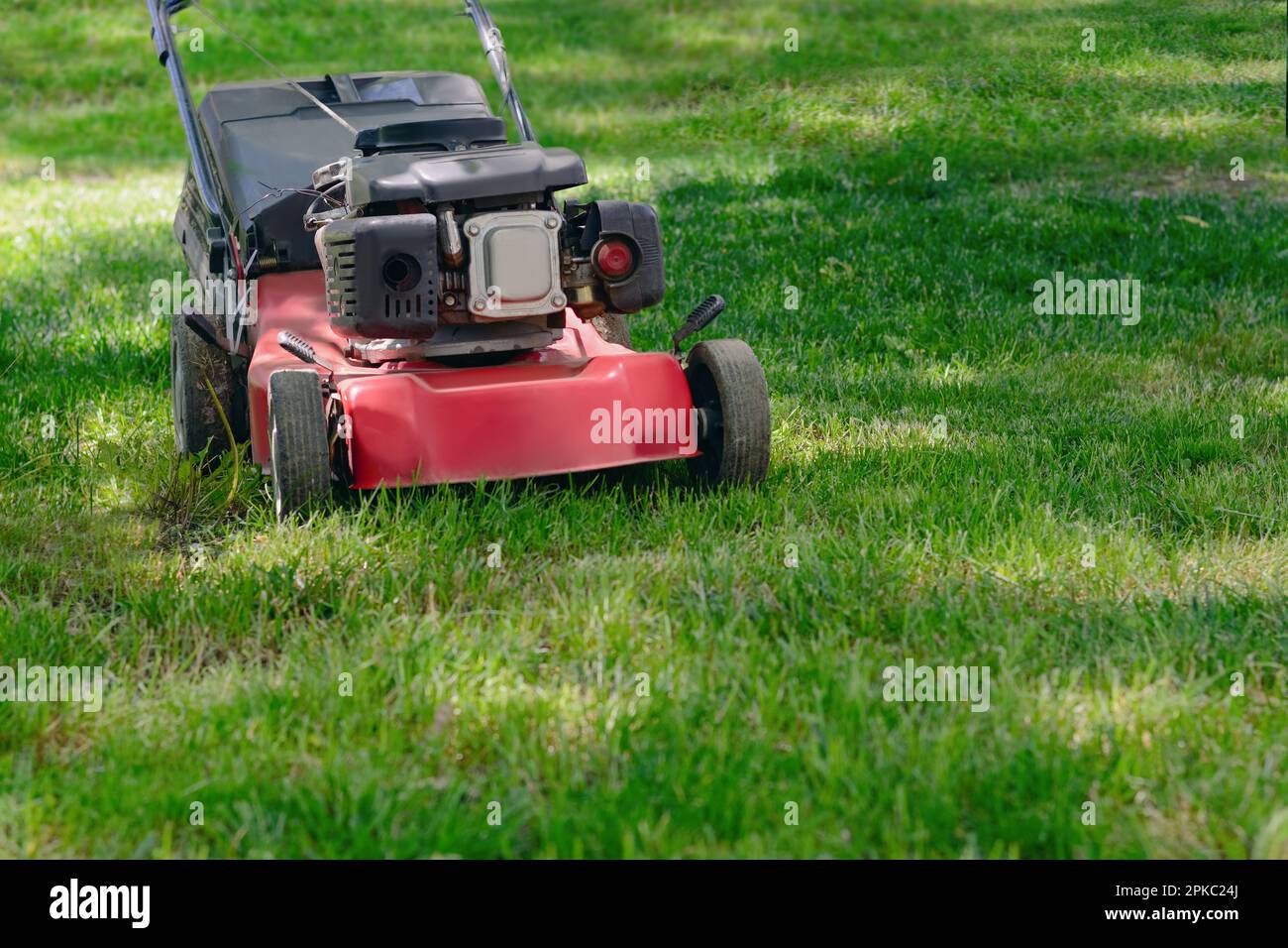 Modern garden lawn mower cutting green grass outdoors Stock Photo - Alamy
