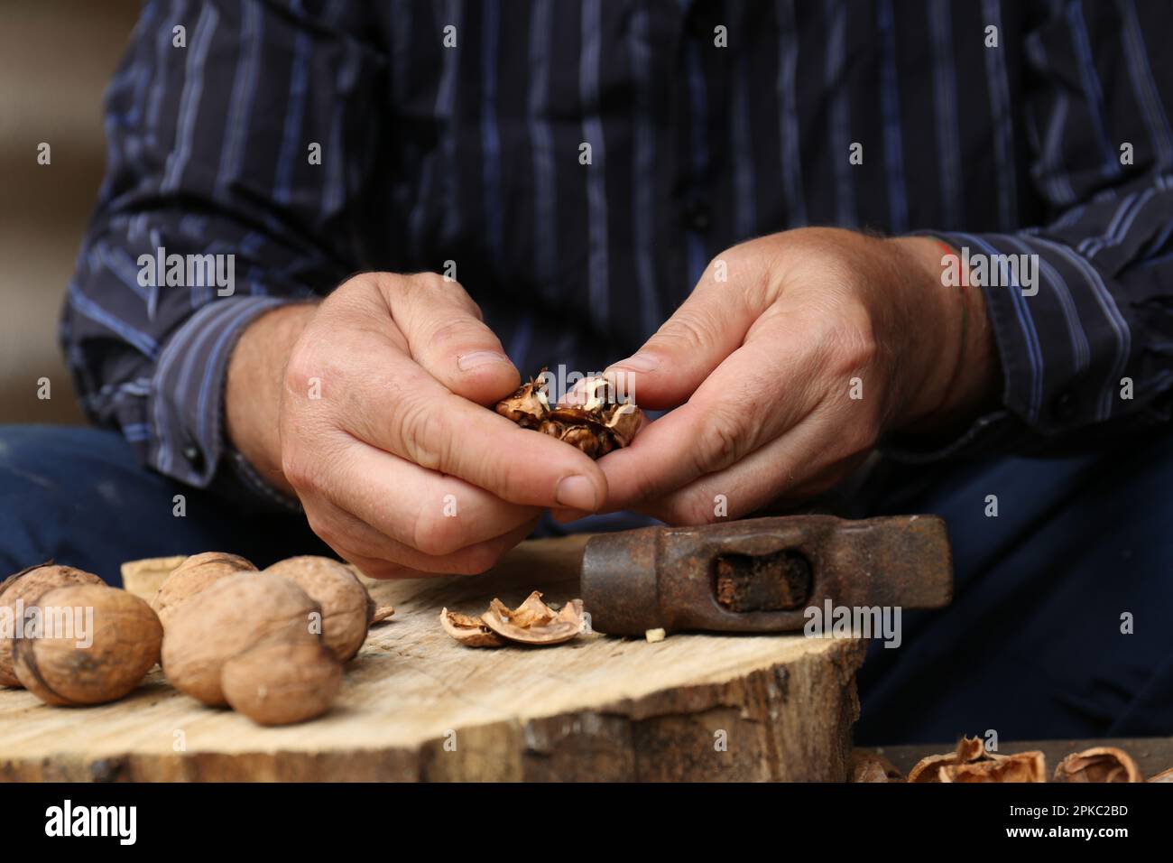 Cracking a nut with a hammer hi-res stock photography and images - Alamy