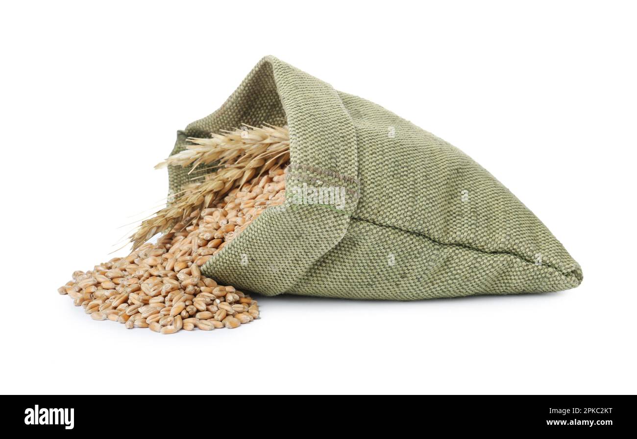 Sack with wheat grains and spikes on white background Stock Photo - Alamy