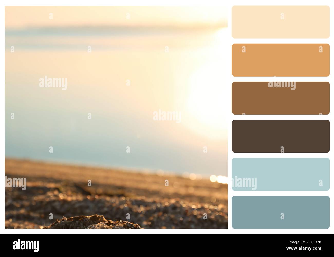 Color palette appropriate to photo of riverside at sunrise Stock Photo ...