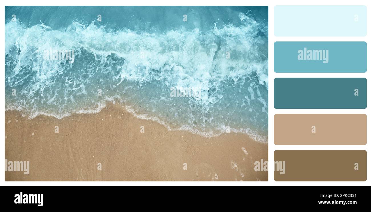 Color palette appropriate to photo of sandy beach and sea, top view ...