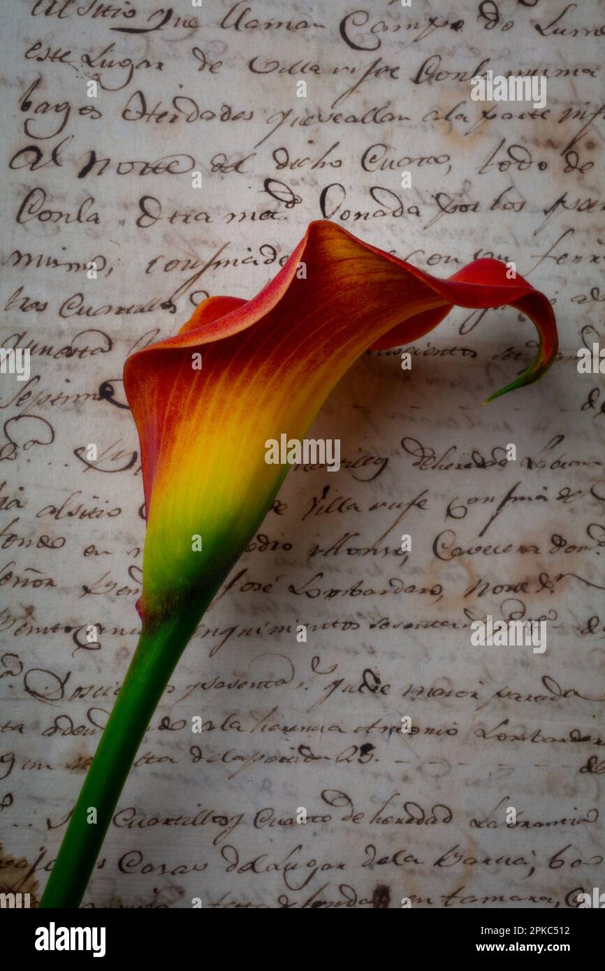 Distinctive letters hi-res stock photography and images - Alamy