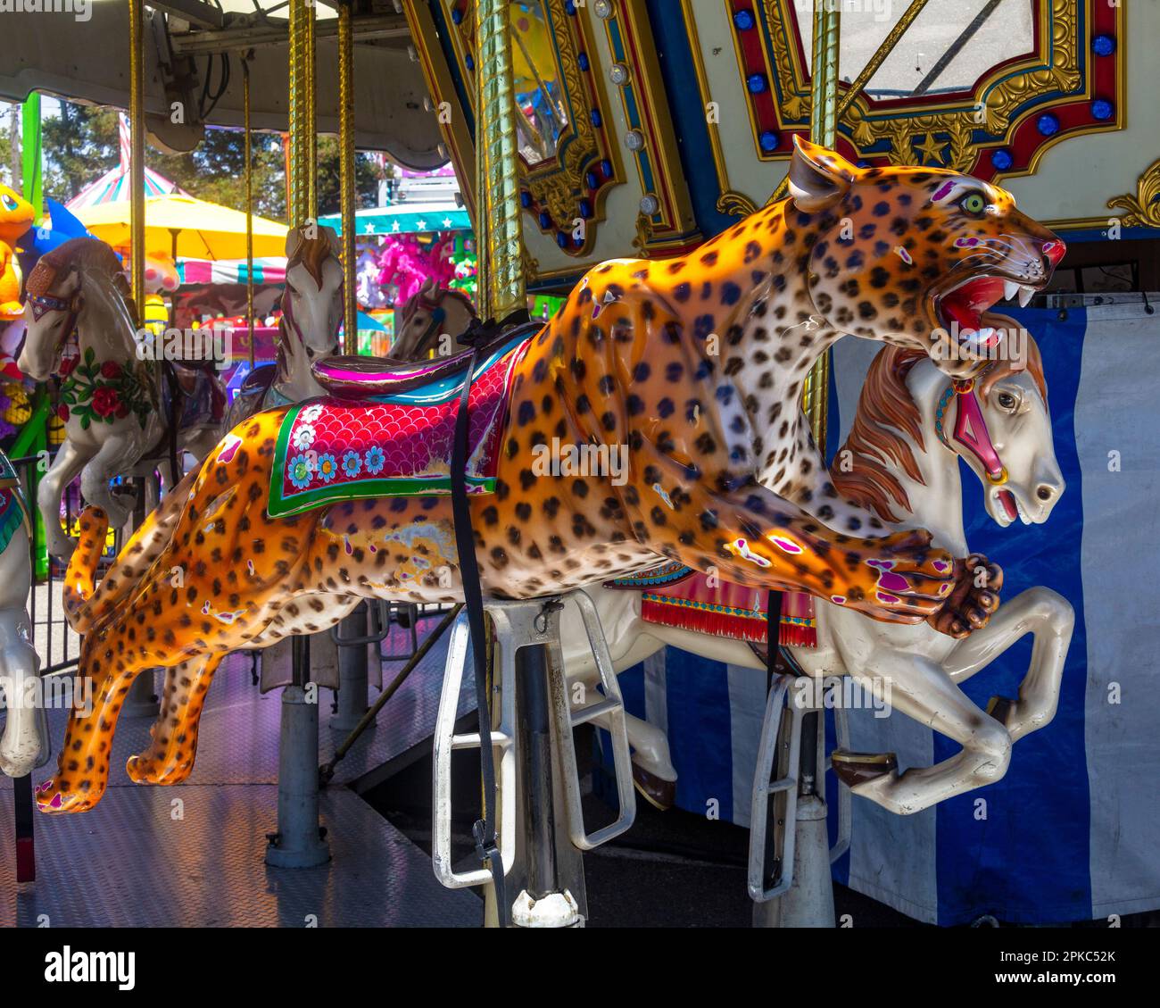 Leaping Carrousel Cheetah Stock Photo - Alamy