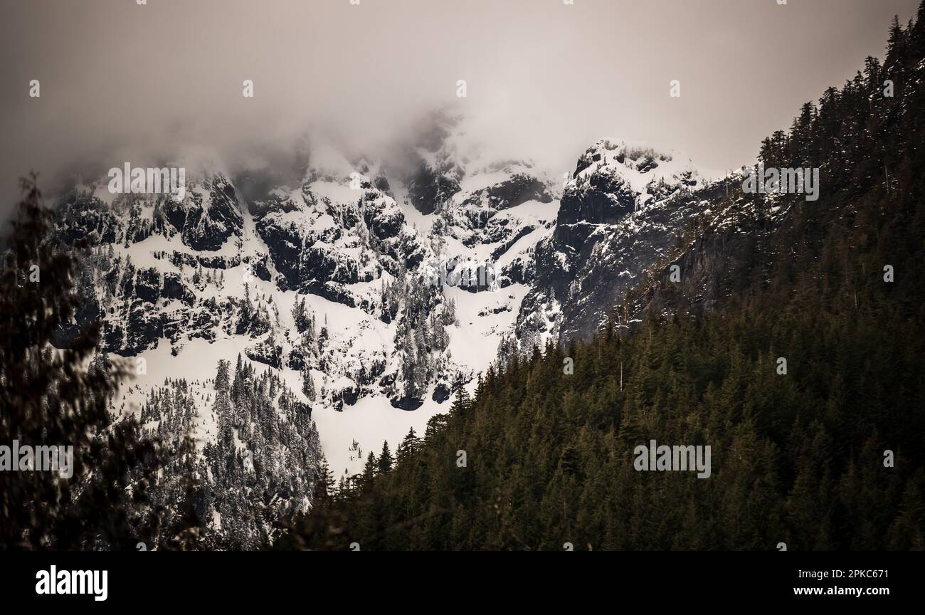 Golden Ears provincial park in Maple Ridge, BC, Canada Stock Photo - Alamy