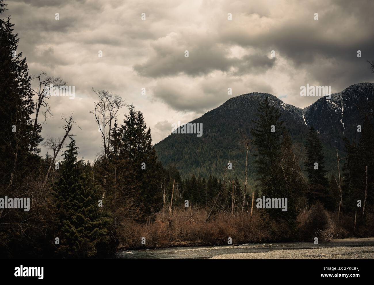 Golden Ears provincial park in Maple Ridge, BC, Canada Stock Photo - Alamy