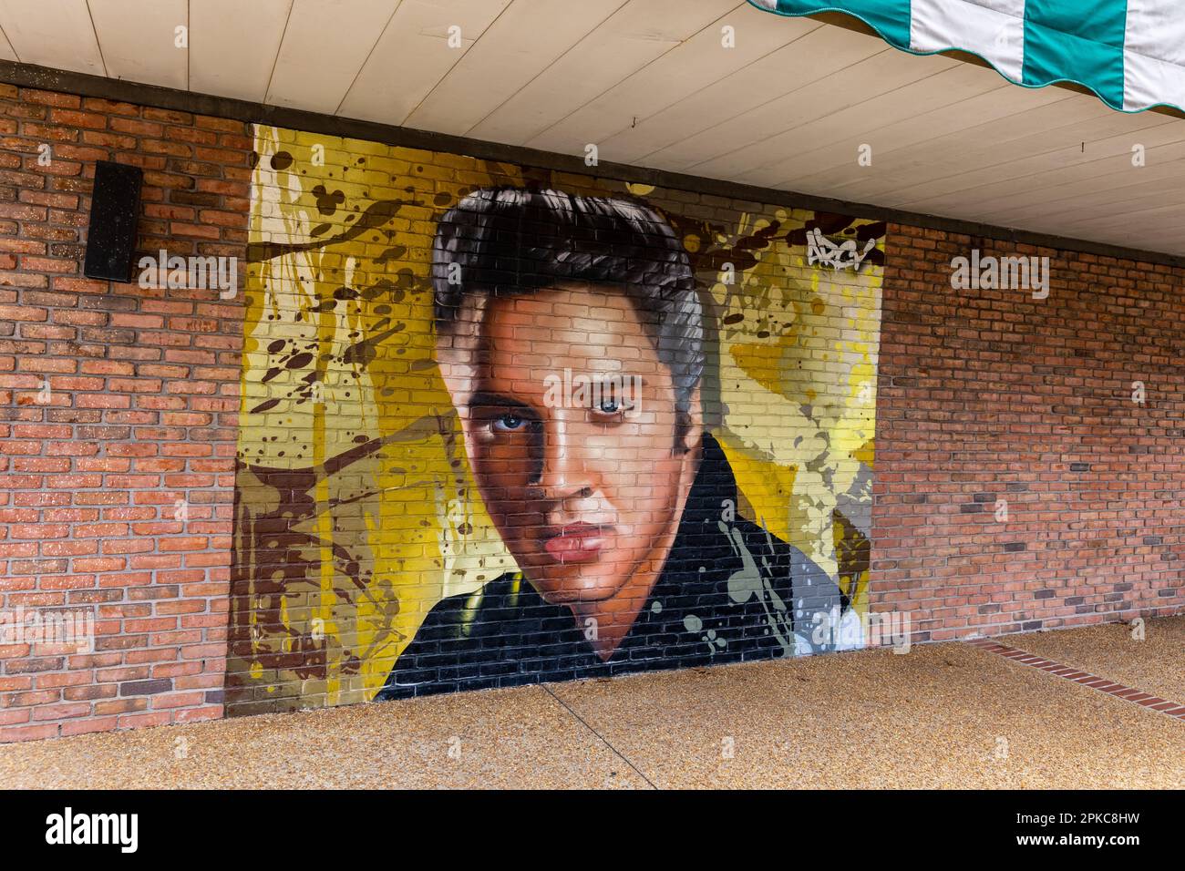 Tupelo, MS - January 2023: Elvis Presley painted Mural in downtown ...