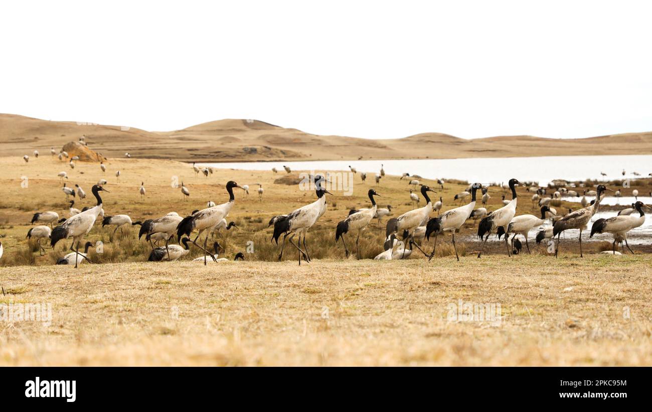 (230407) -- KUNMING, April 7, 2023 (Xinhua) -- This photo taken on ...