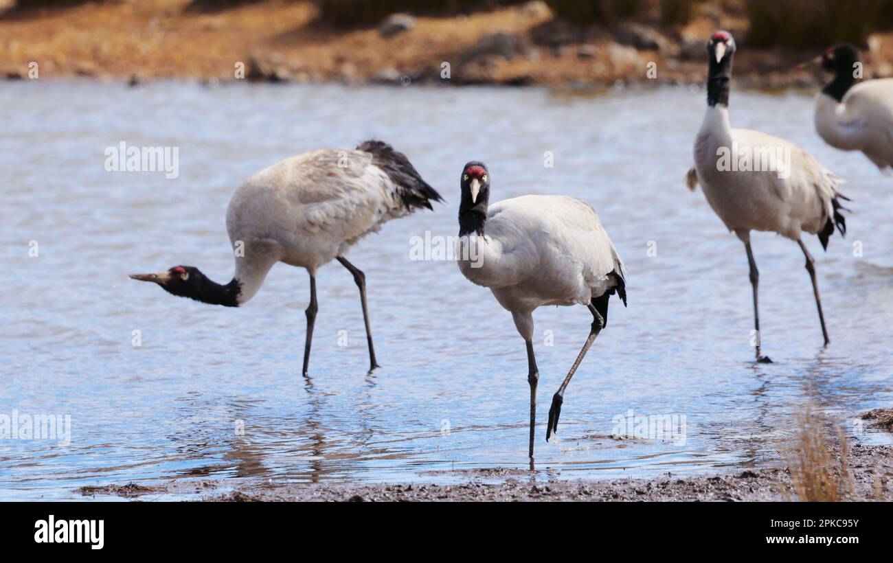 (230407) -- KUNMING, April 7, 2023 (Xinhua) -- This photo taken on ...