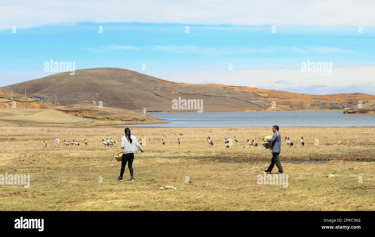(230407) -- KUNMING, April 7, 2023 (Xinhua) -- Staff members guarding ...