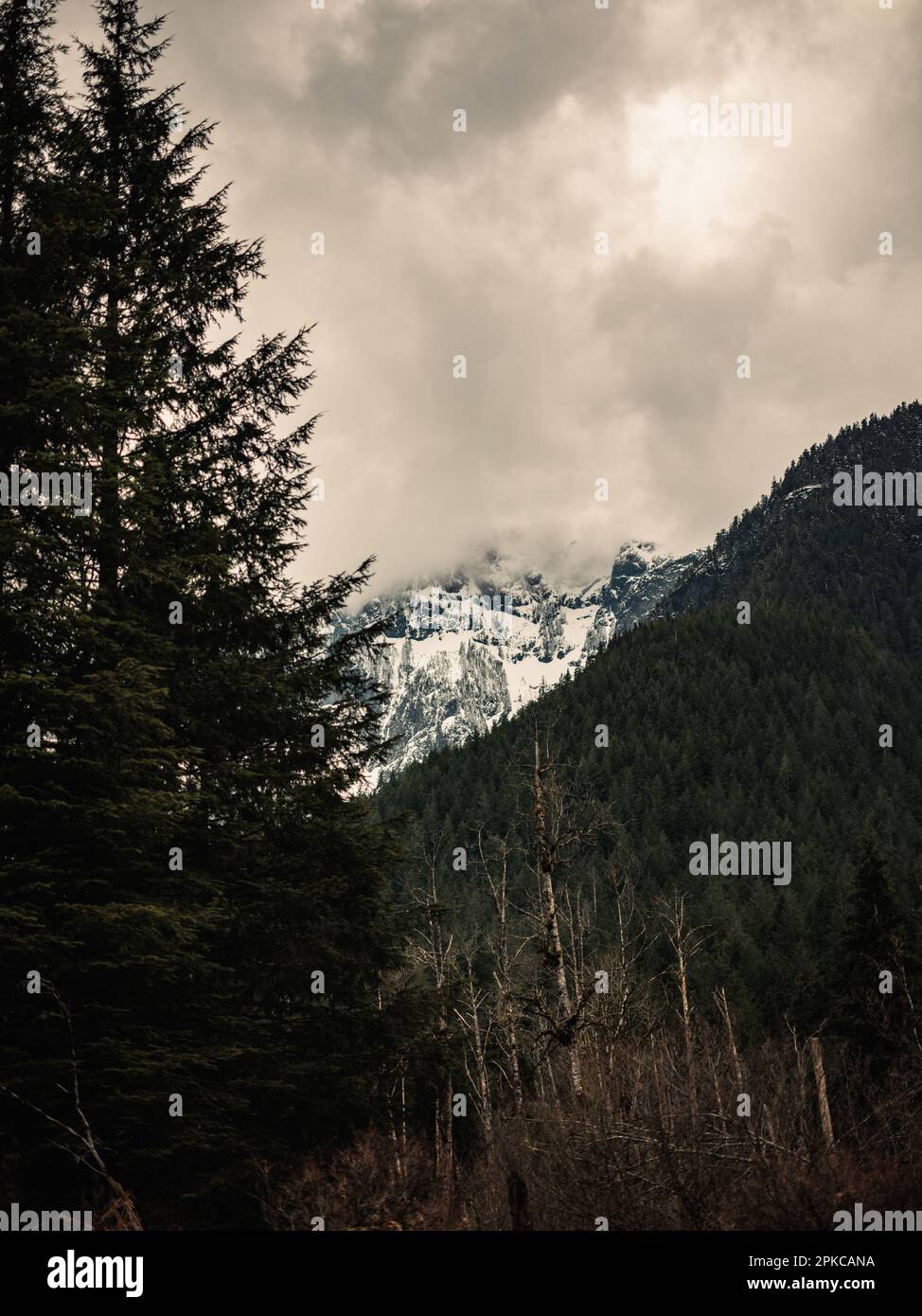 Golden Ears provincial park in Maple Ridge, BC, Canada Stock Photo - Alamy