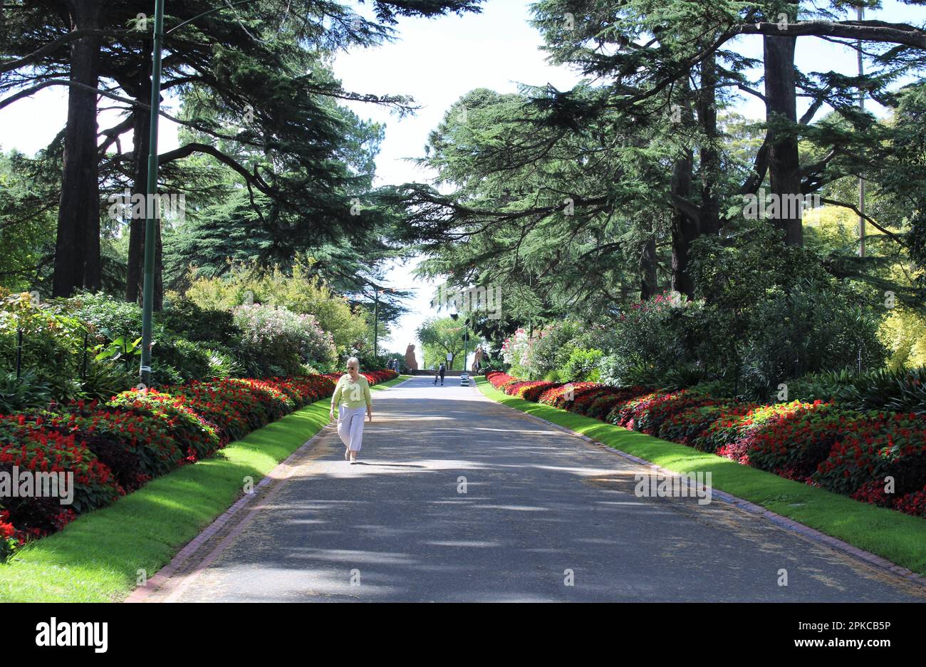 Fitzroy Gardens, Victoria, Australia, An Australian senior enjoying a ...