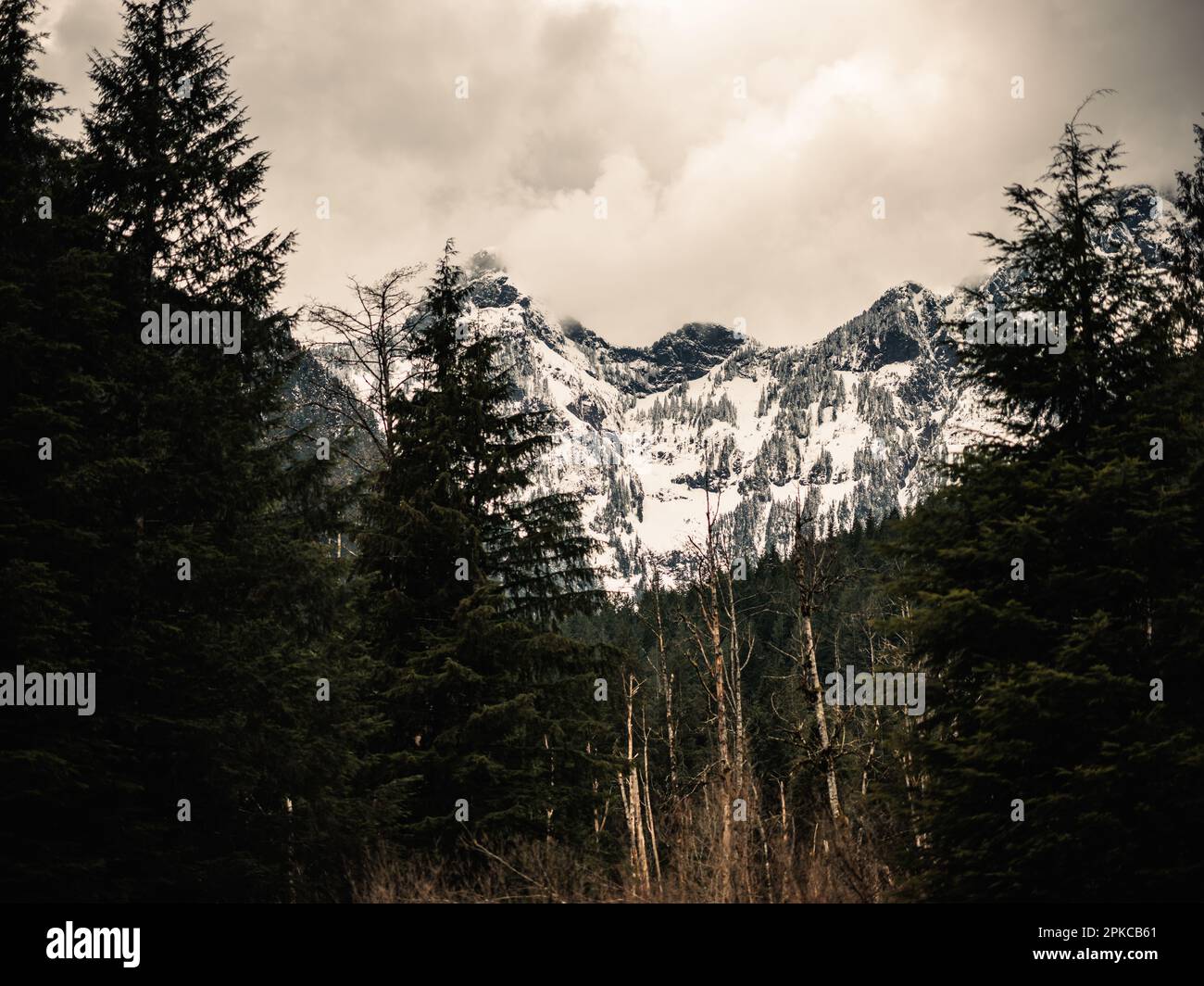 Golden Ears provincial park in Maple Ridge, BC, Canada Stock Photo - Alamy